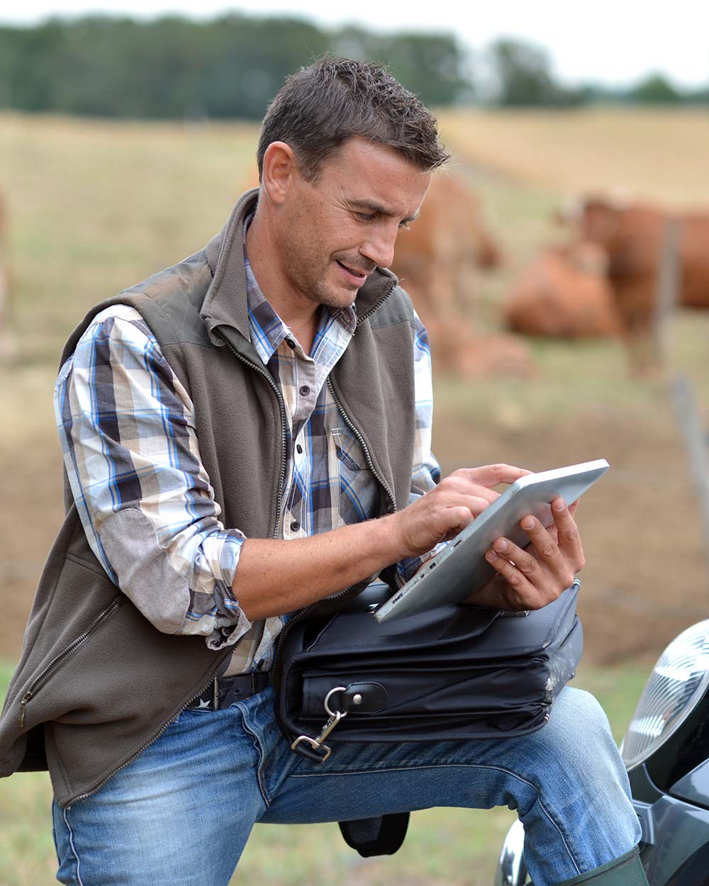 The Region – Northernrivers NSW